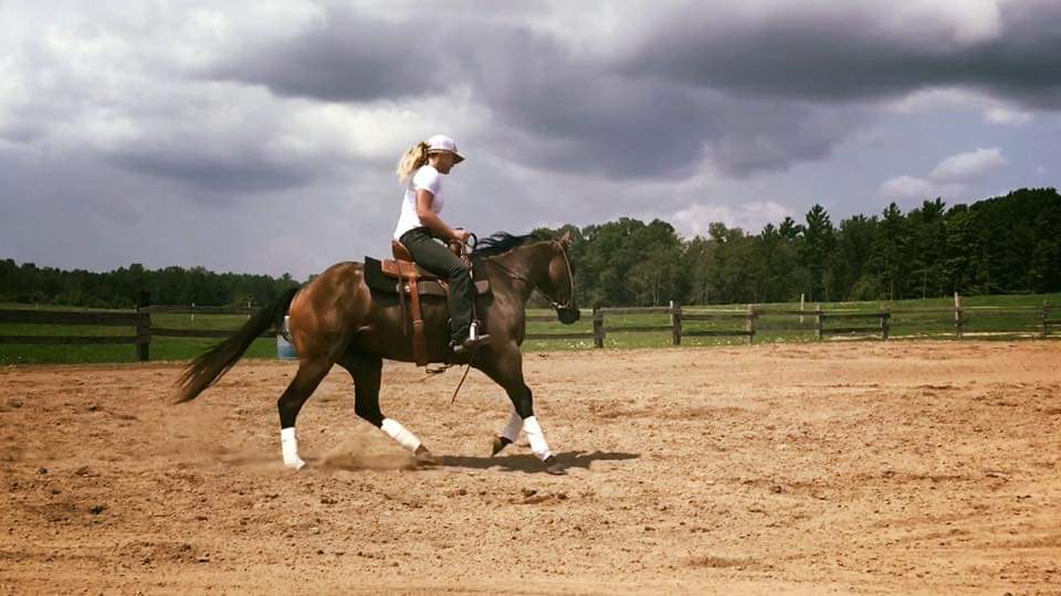 Villains and Victims – Emily Gernaat Performance Horses